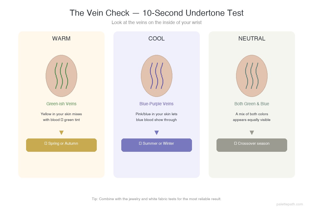 Find Your Undertone in 60 Seconds (3 Tests) | PalettePath